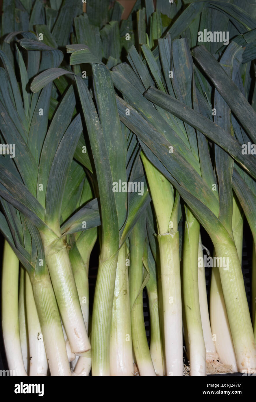 Farmers market with green leeks in a bunch available at a market Stock ...