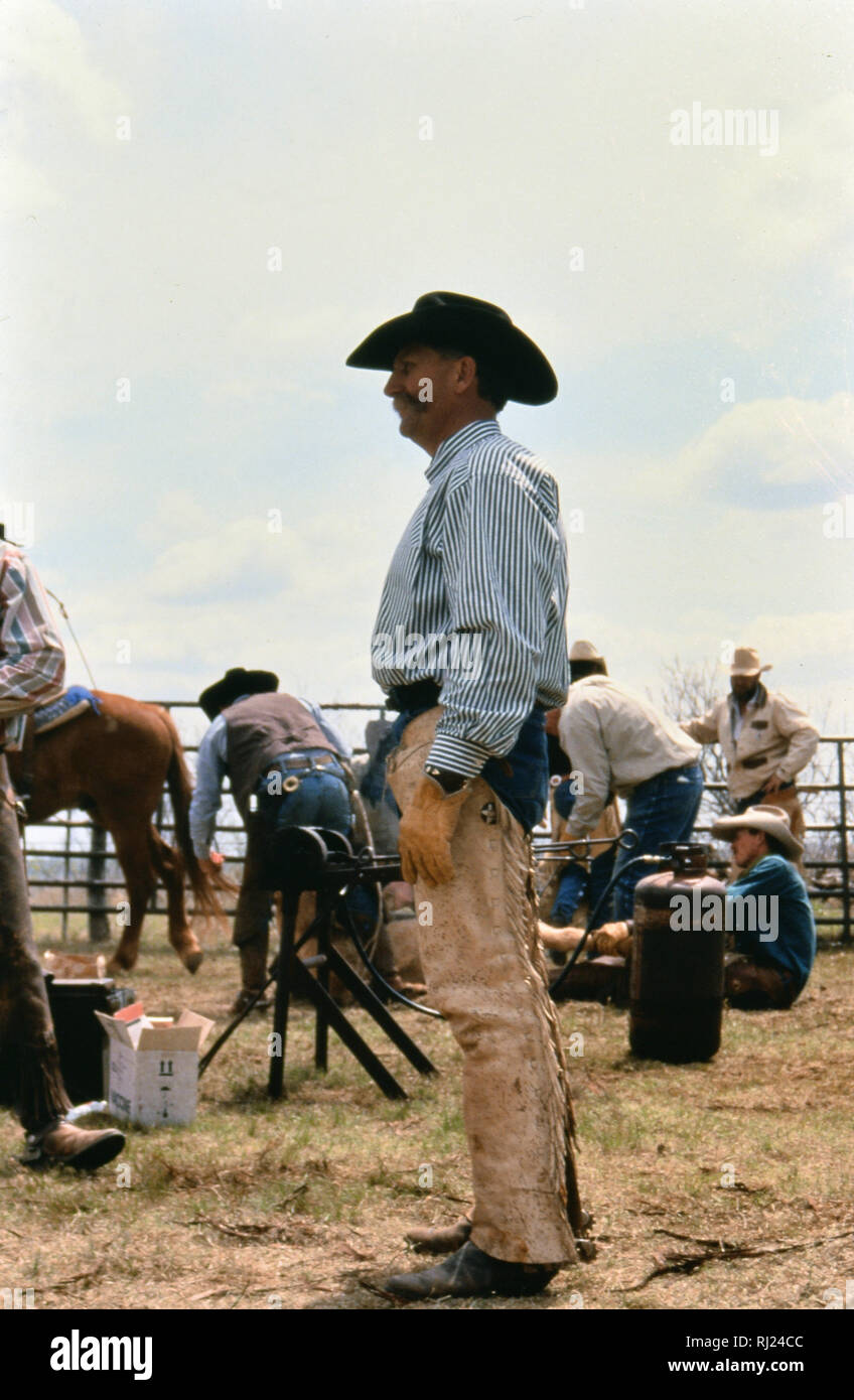 Real texan cowboys hi-res stock photography and images - Alamy