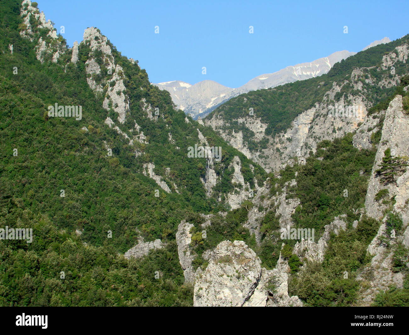Enipeas Canyon in Olympus national park (northeastern Greece Stock ...