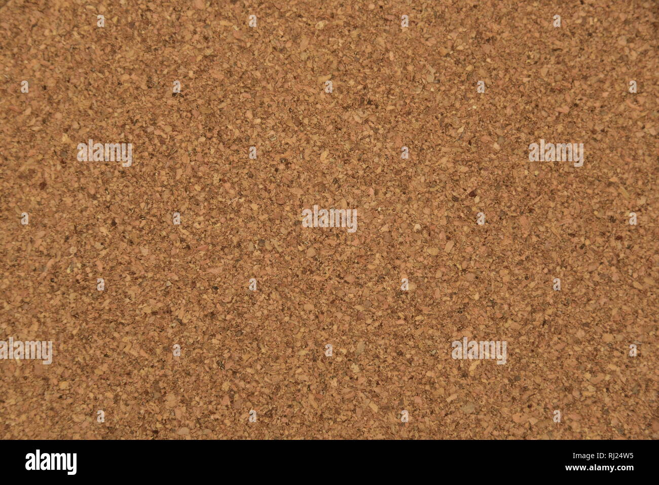 Balsa tree hi-res stock photography and images - Alamy