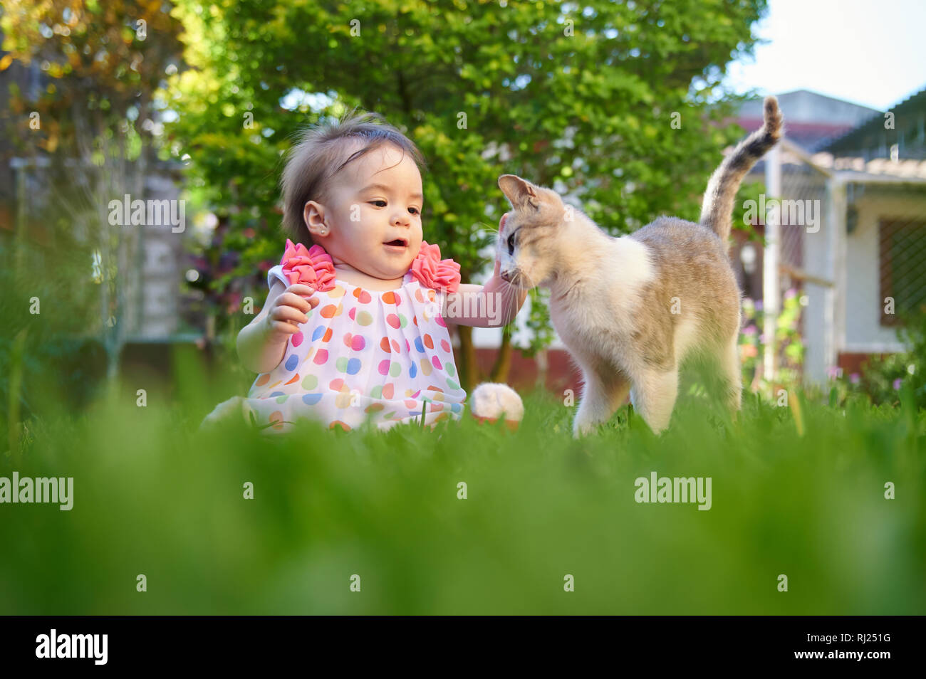 Child touching grass hi-res stock photography and images - Alamy