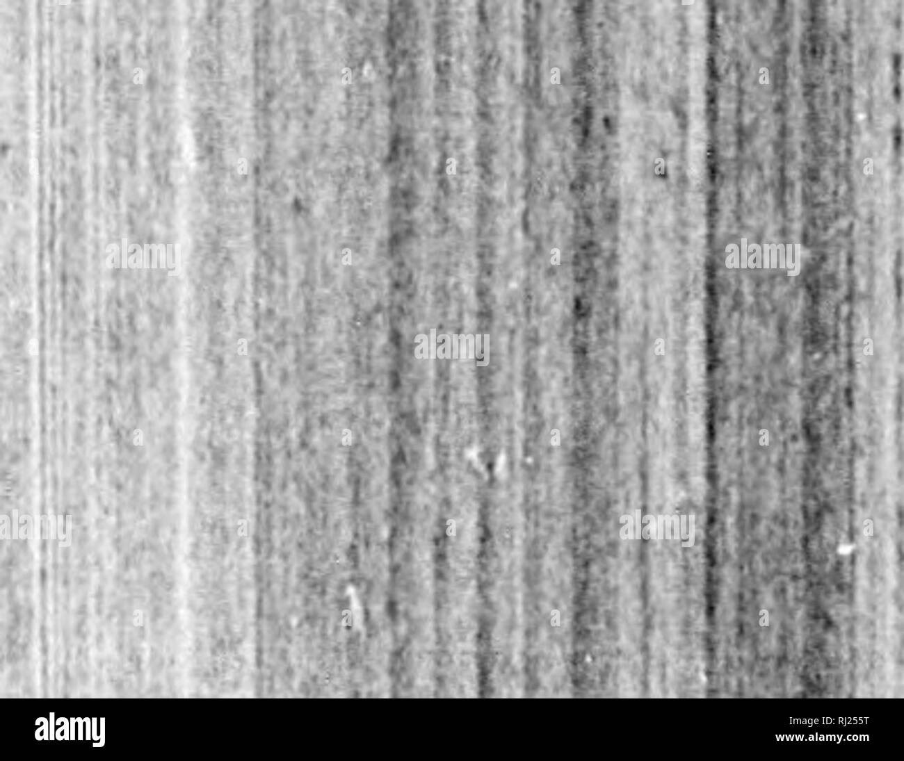Horrible sight Black and White Stock Photos & Images - Alamy