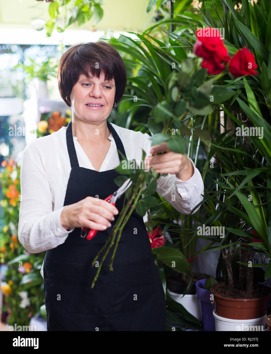 Smiling shop assistant displaying bright red roses in flower shop Stock ...
