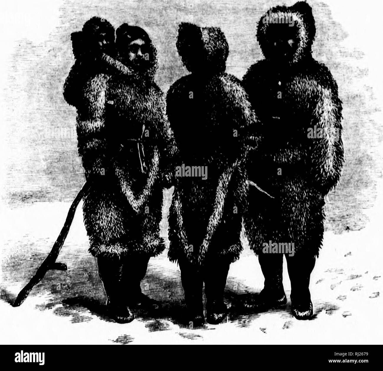 . The polar and tropical worlds [microform] : a description of man and ...