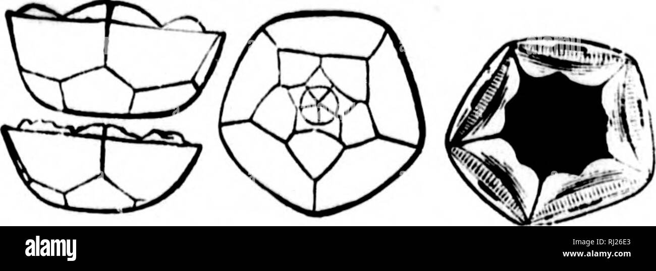 Tvr Black and White Stock Photos & Images - Alamy