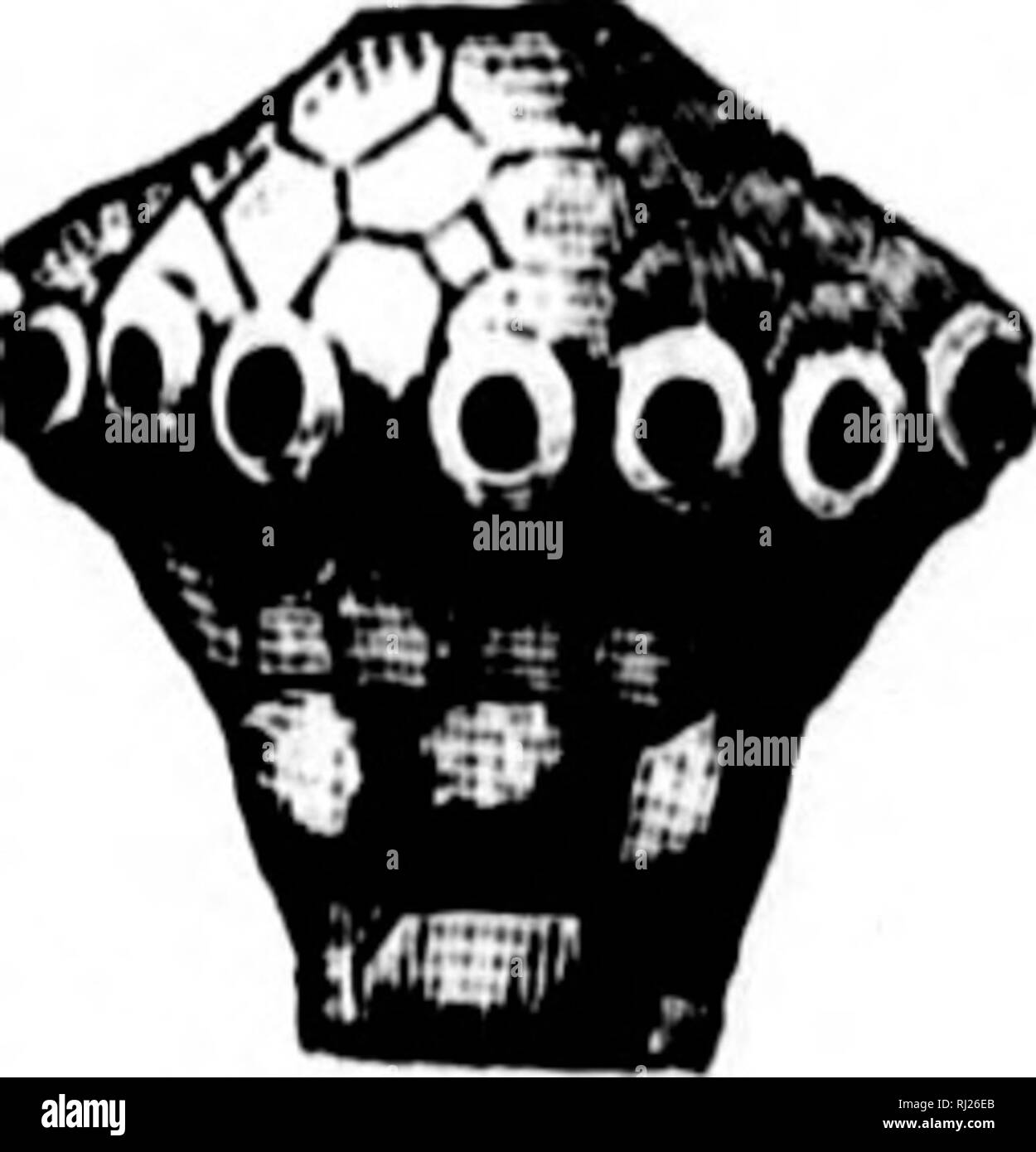 Tvr Black and White Stock Photos & Images - Alamy