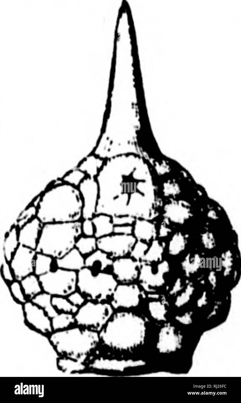 Nu shu hi-res stock photography and images - Alamy