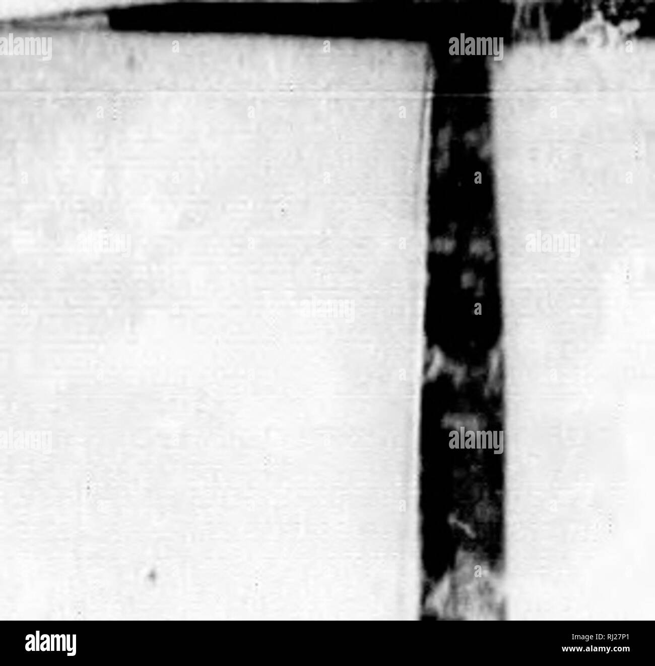 Frank stockwell hi-res stock photography and images - Alamy