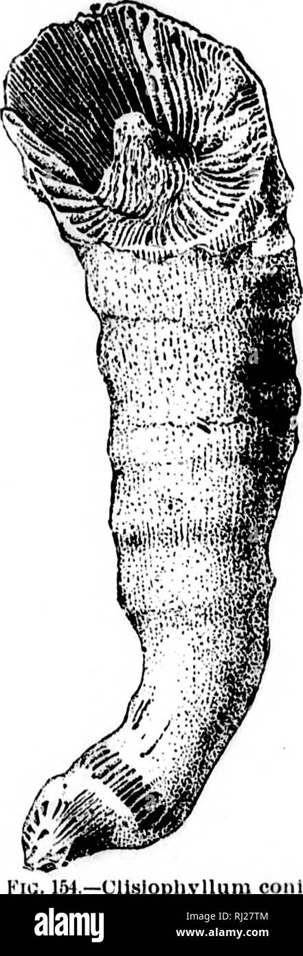 Conical Boss High Resolution Stock Photography and Images - Alamy