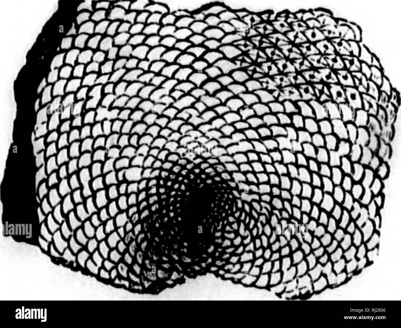 Geo hist hi-res stock photography and images - Alamy