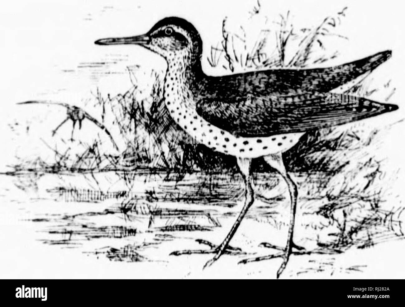 Mack lake Black and White Stock Photos & Images - Alamy