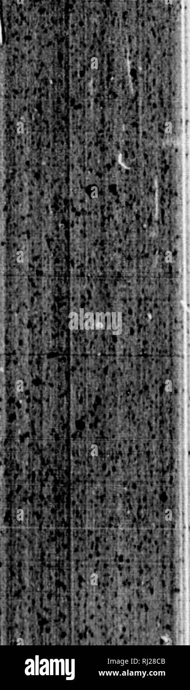 Visil Black and White Stock Photos & Images - Alamy