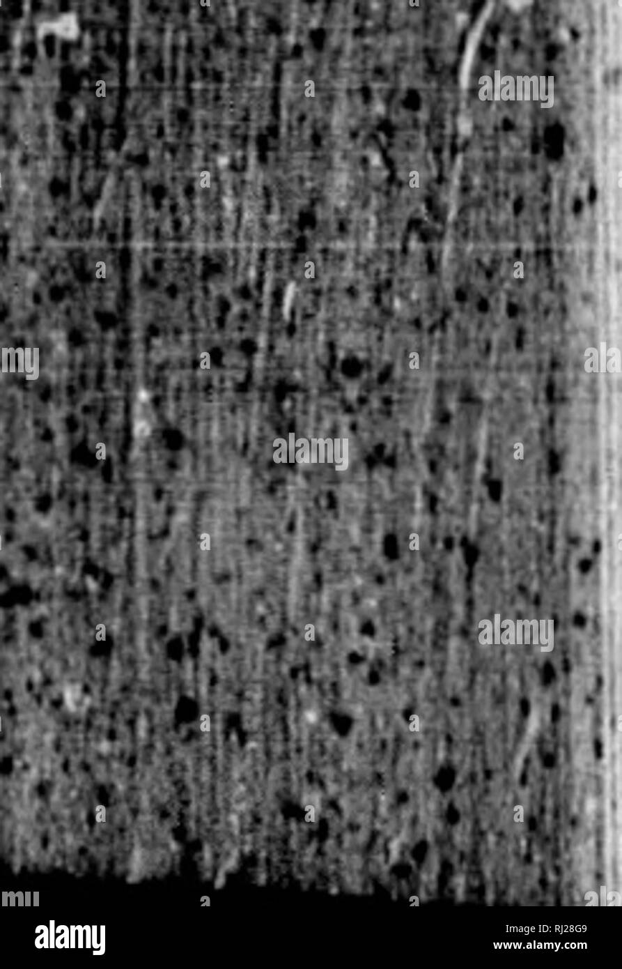 Nicta hi-res stock photography and images - Alamy