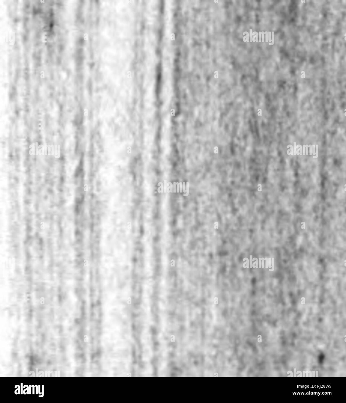 Venis Black and White Stock Photos & Images - Alamy