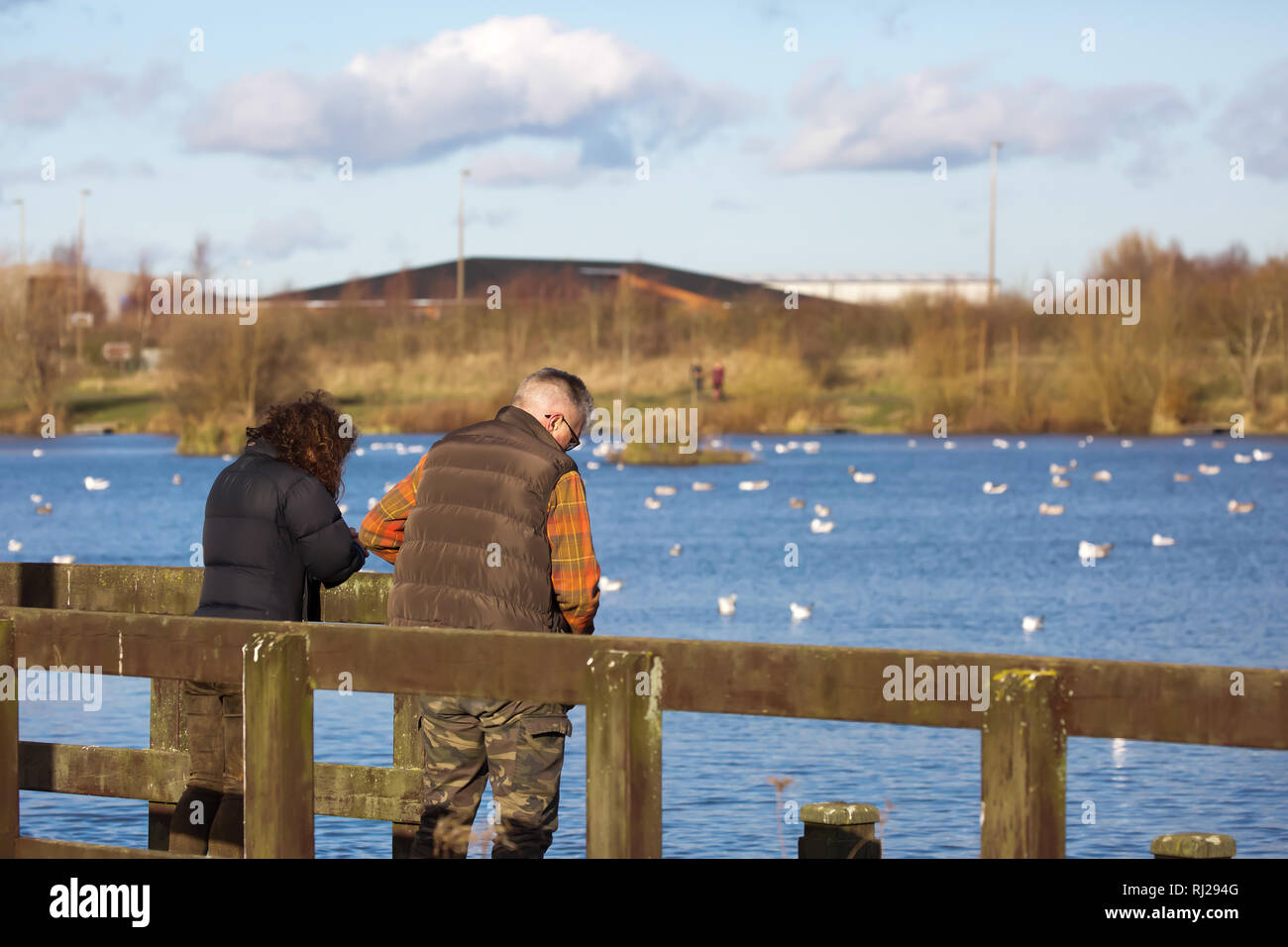 Two people look into the lake in Poolsbrook country park Stock Photo ...