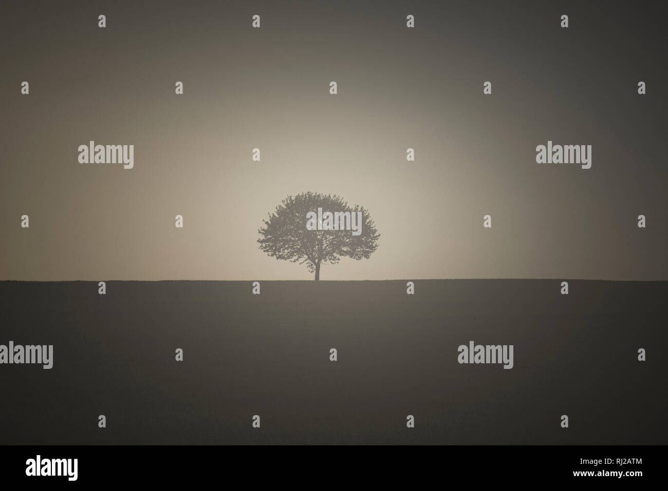 Empty meadow hi-res stock photography and images - Alamy