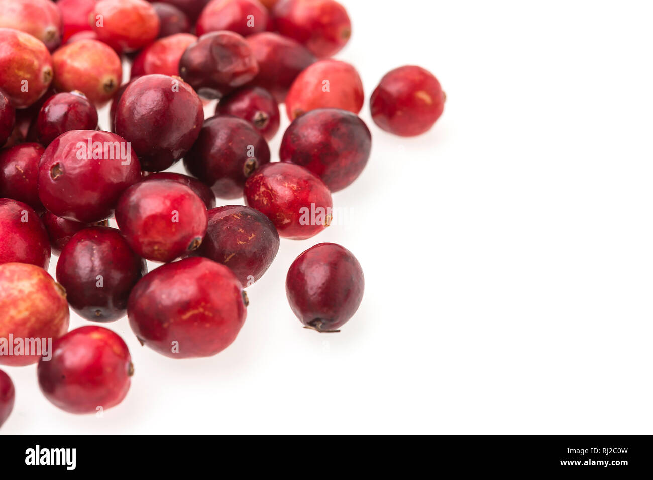 Cranberry isolated on white background Stock Photo - Alamy