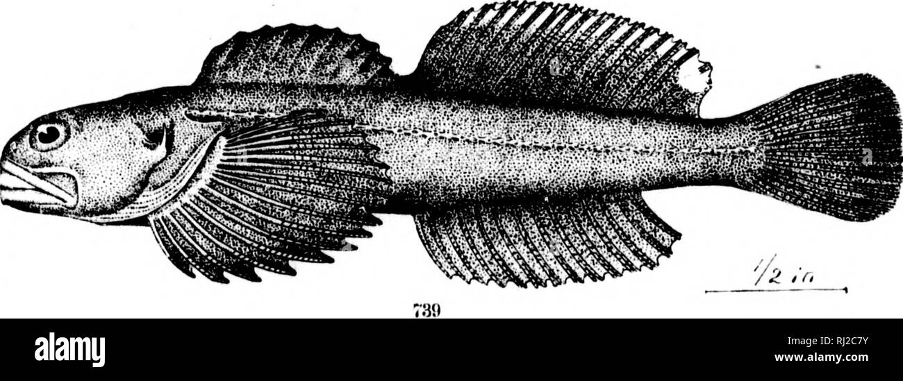 Pl c image Black and White Stock Photos & Images - Alamy