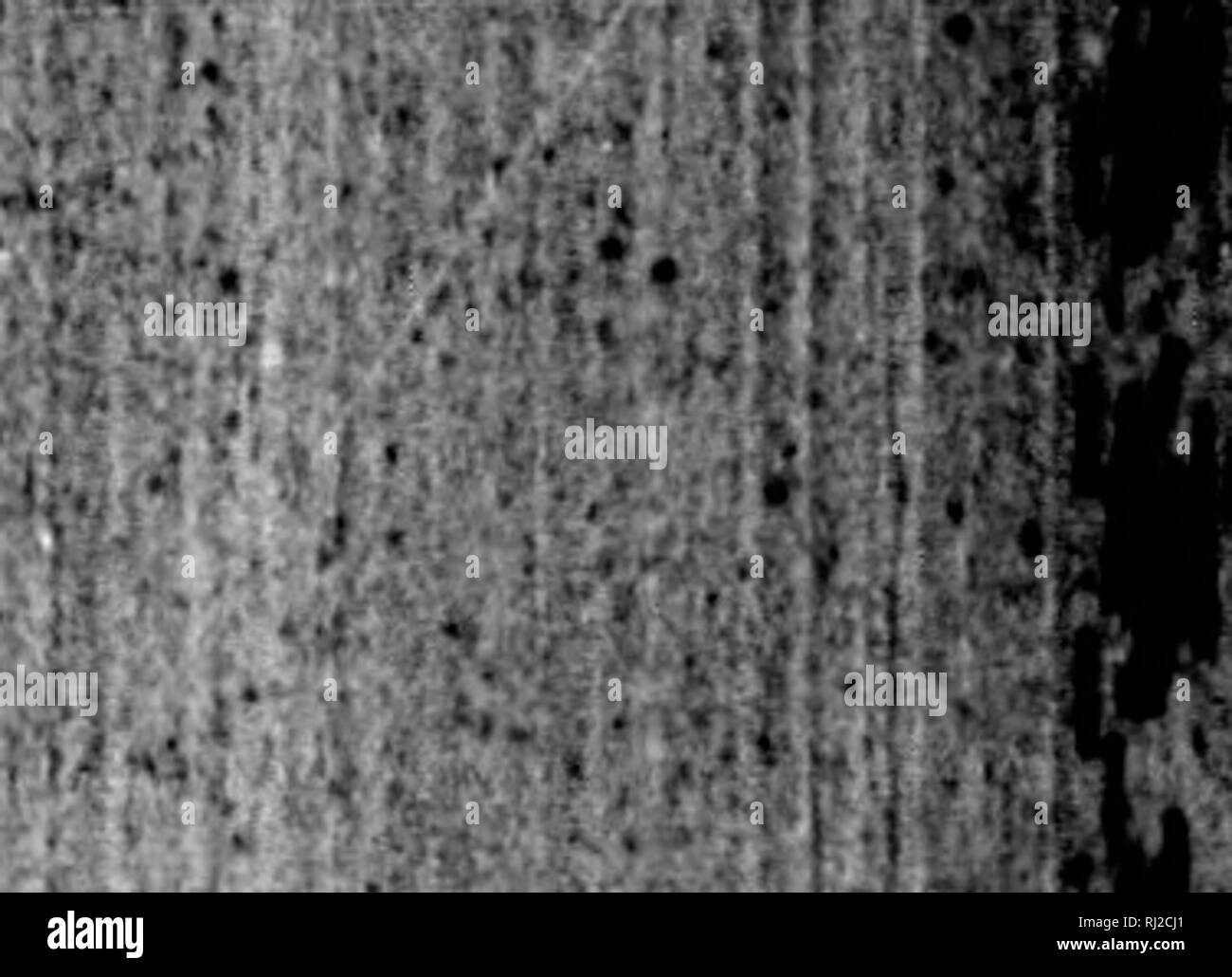 Discal cells Black and White Stock Photos & Images - Alamy