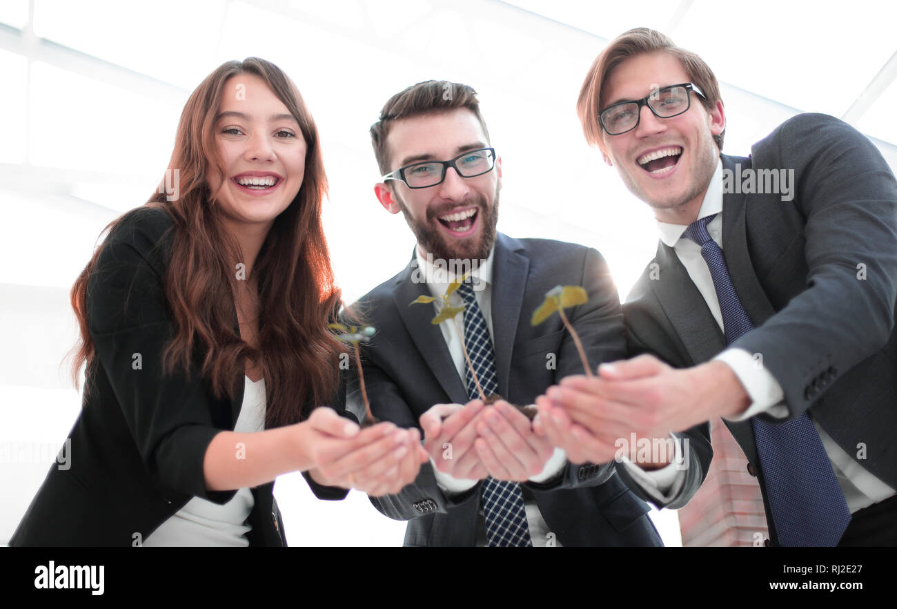 close up.the business team shows fresh sprouts Stock Photo - Alamy
