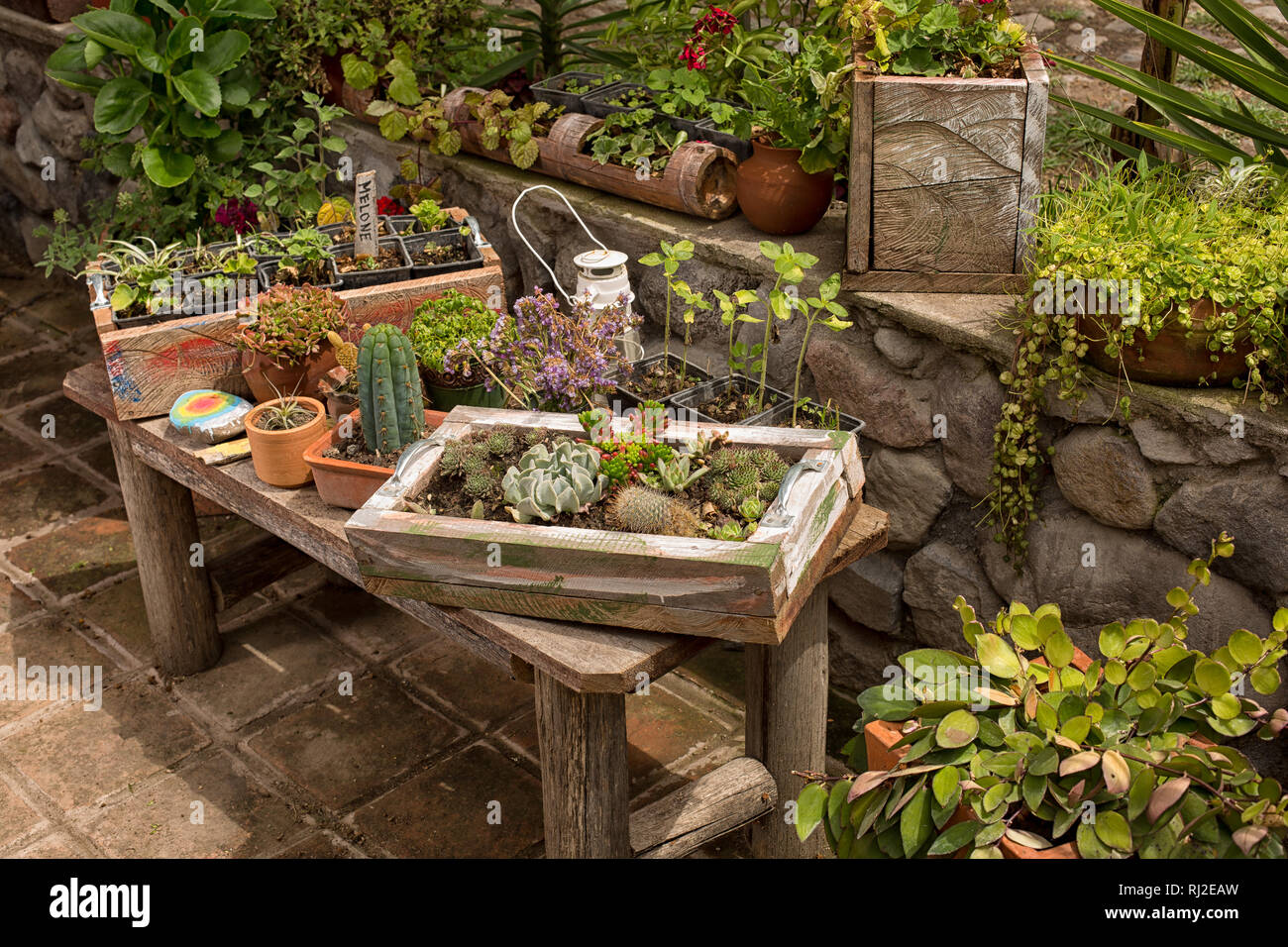 rustic garden plants Stock Photo - Alamy