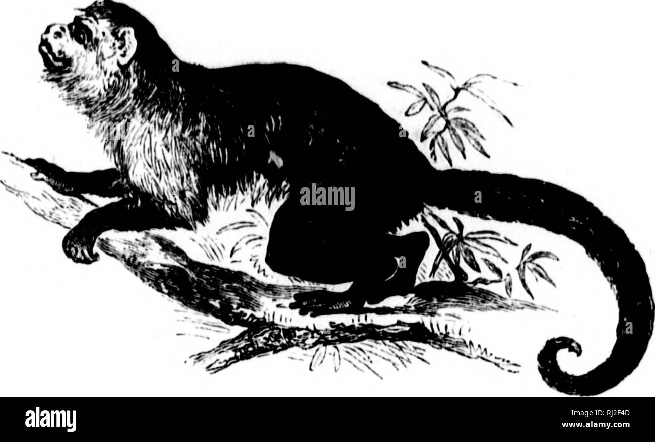 Lucifer match Cut Out Stock Images & Pictures - Alamy