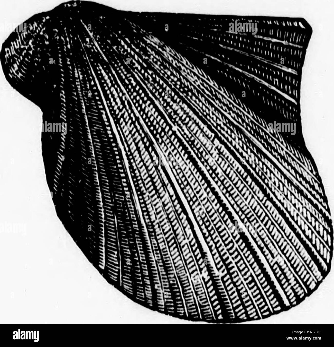 Ov 101 Black and White Stock Photos & Images - Alamy