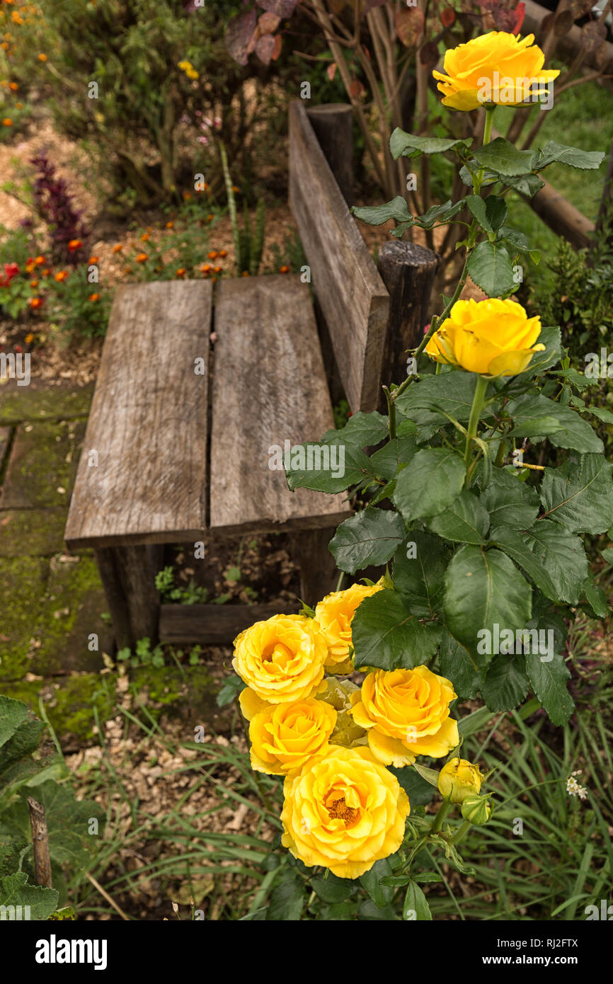 rustic garden plants Stock Photo - Alamy
