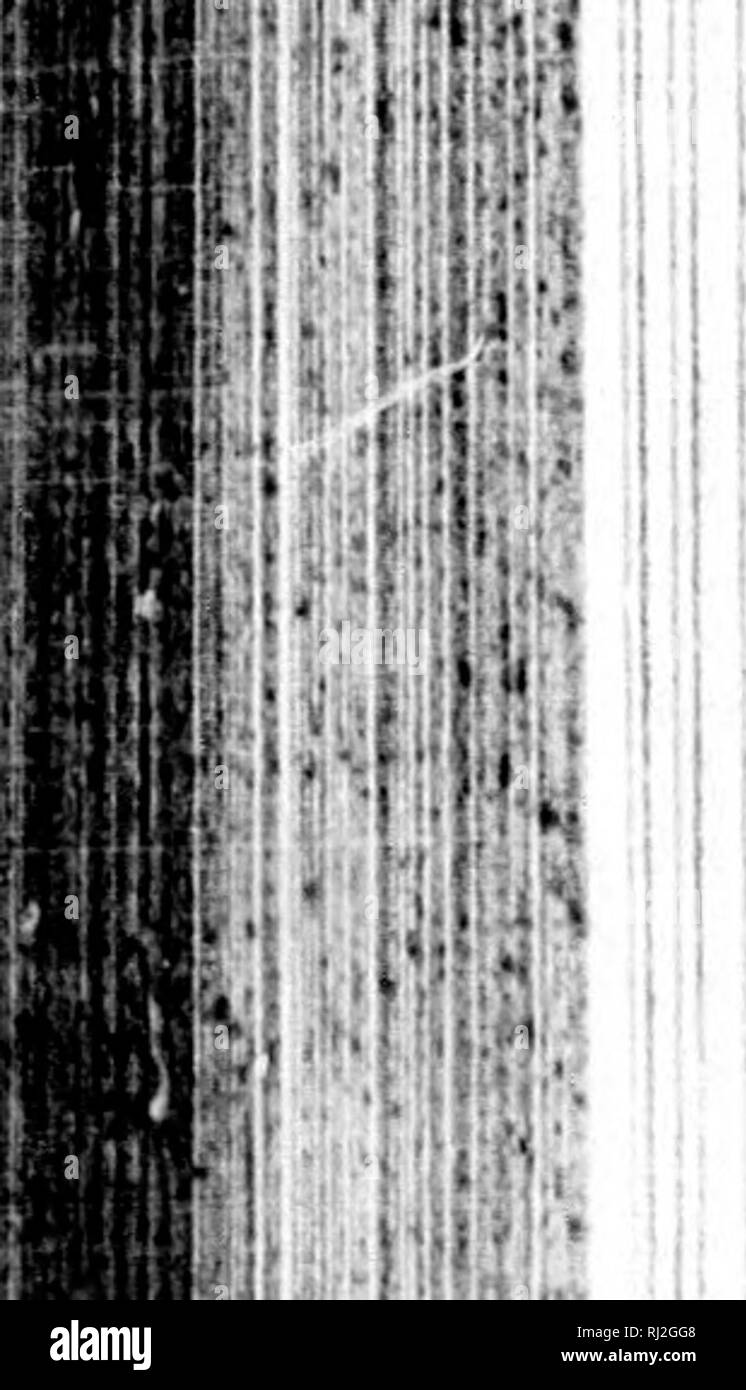 Brown tab Black and White Stock Photos & Images - Alamy