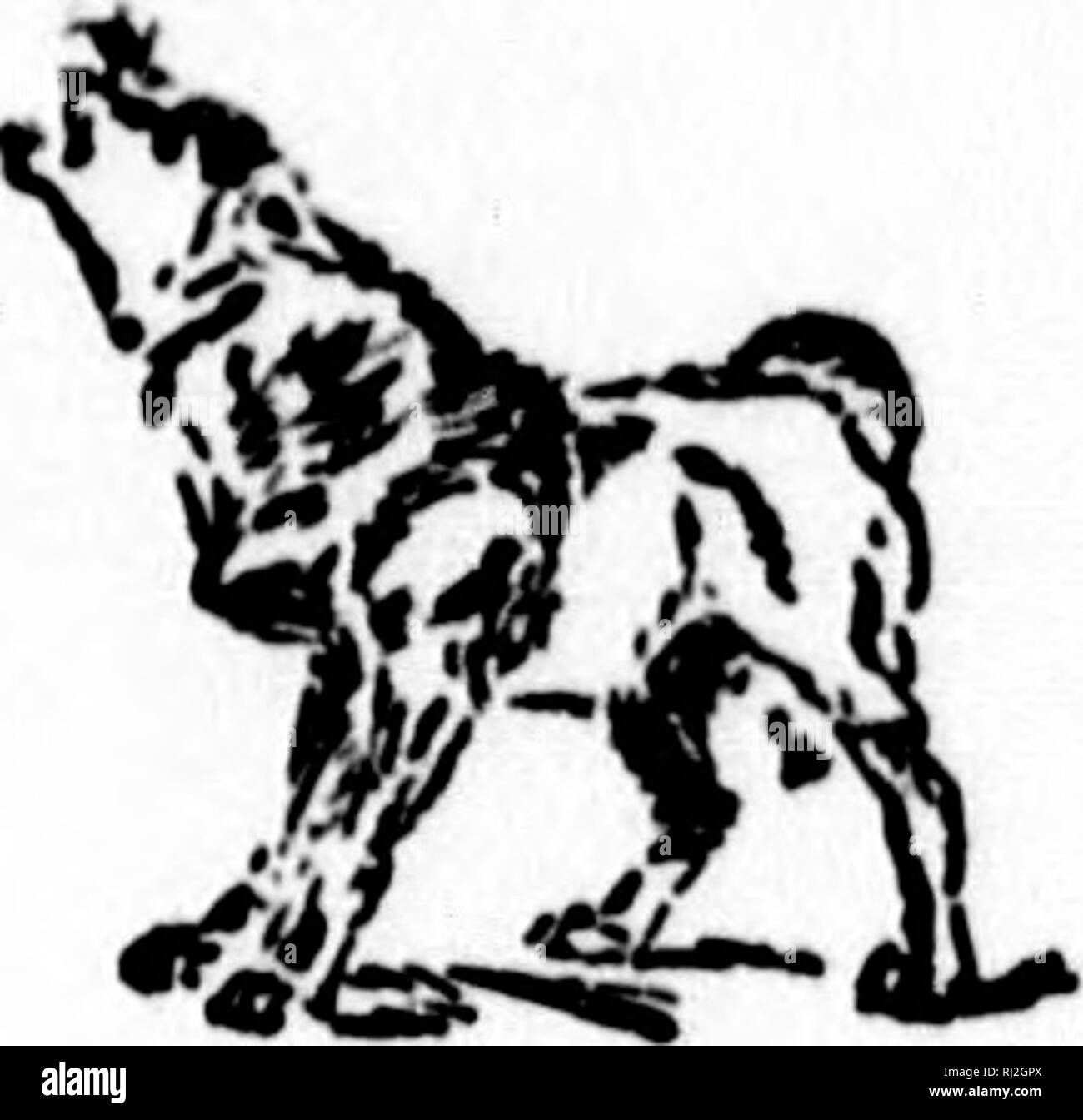 Mistakable Cut Out Stock Images & Pictures - Alamy