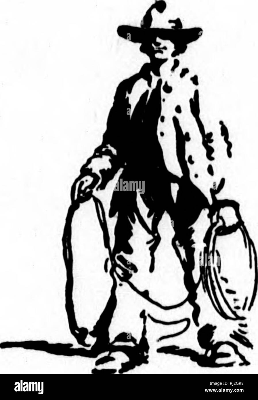 Dead Wolf Drawing
