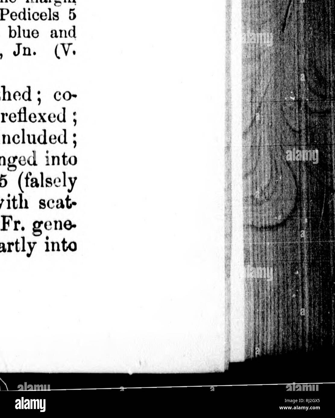 . Class-book of botany [microform] : being outlines of the structures ...
