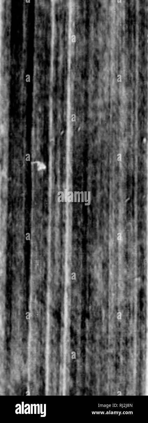 . Travels through the interior parts of North-America in the years 1766 ...