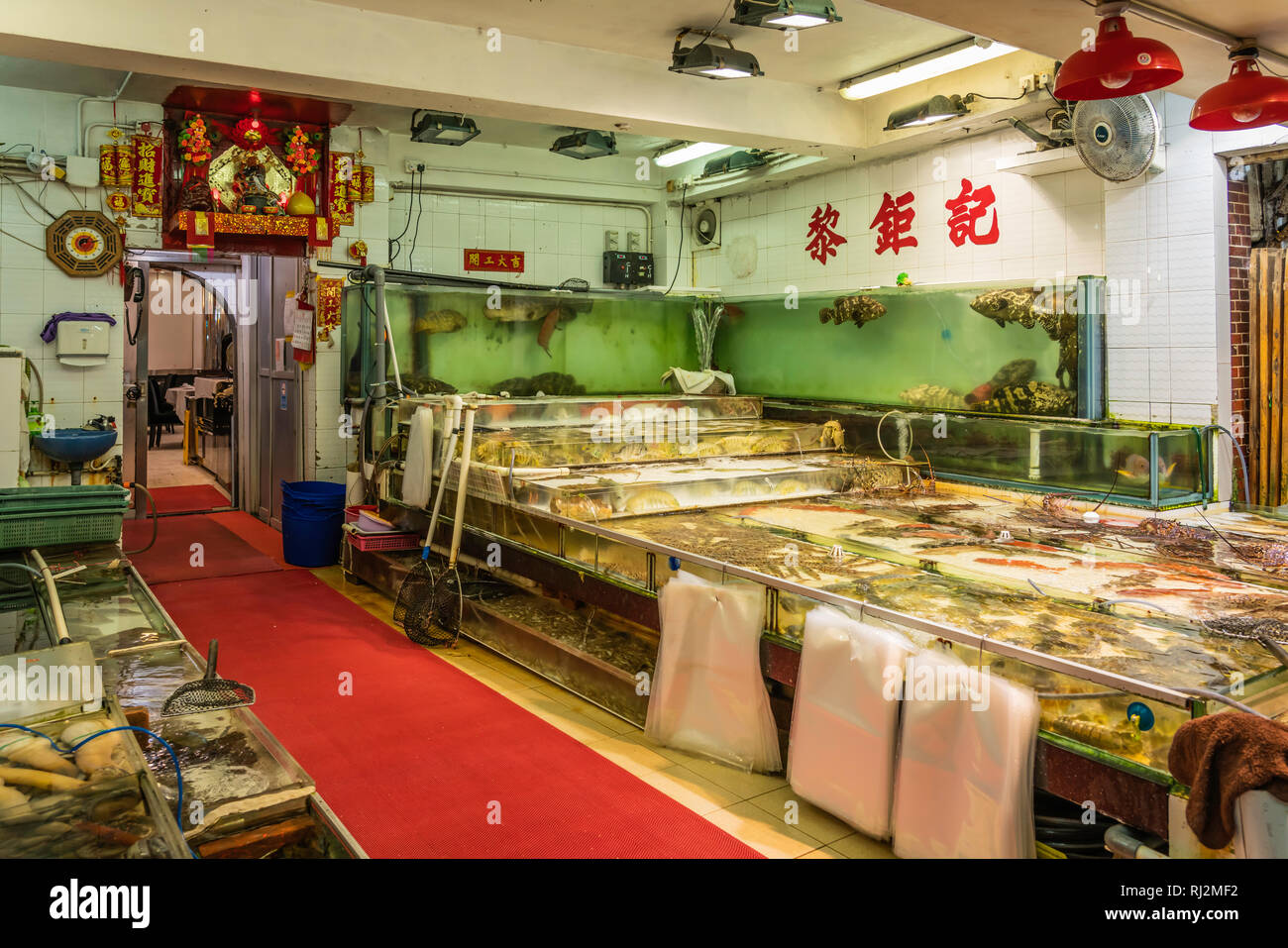 Hong kong seafood tank hi-res stock photography and images - Alamy