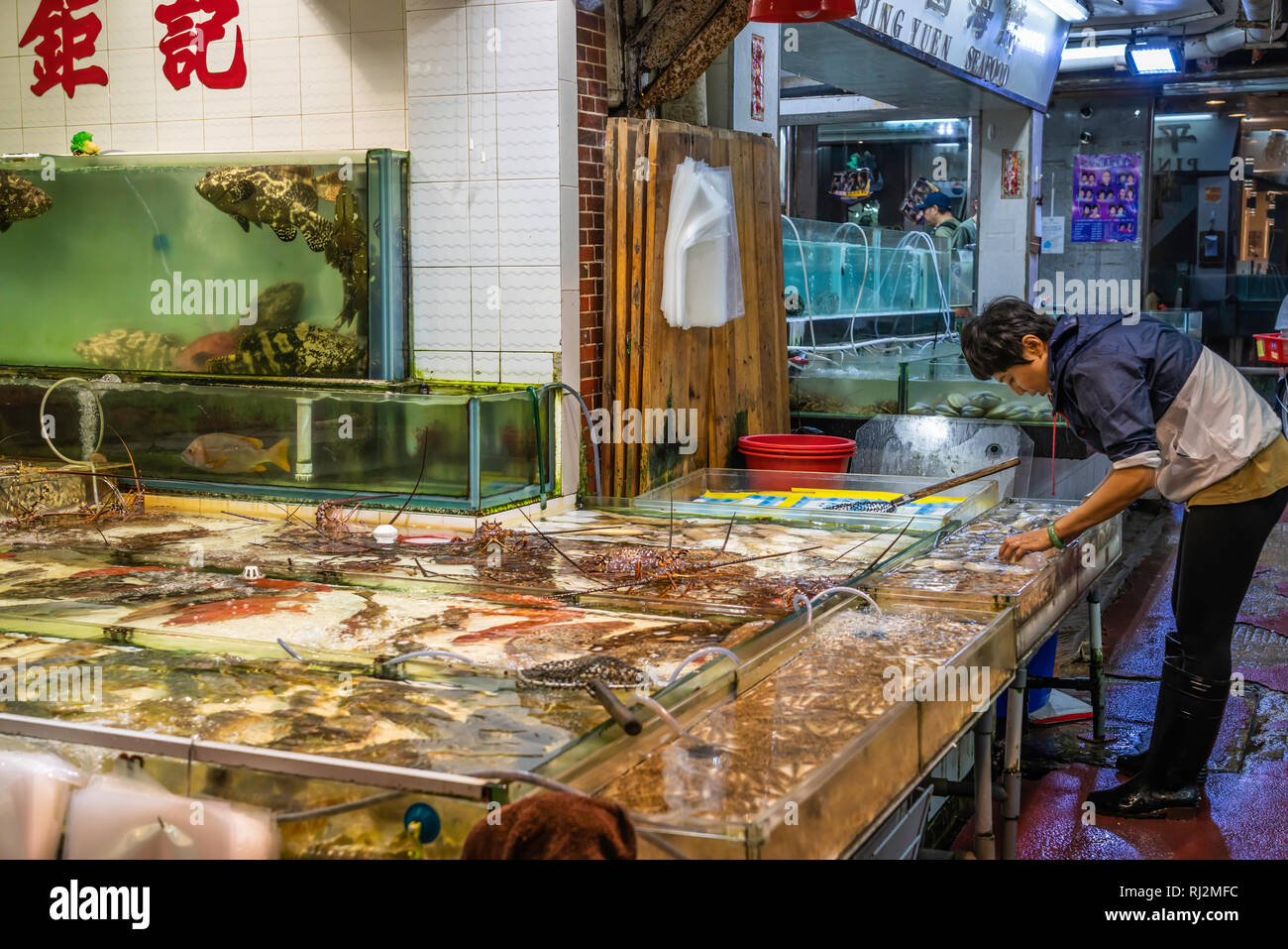 A fish tank in a seafood restaurant in Lei Yu Mun in Kowloon, Hong Kong ...