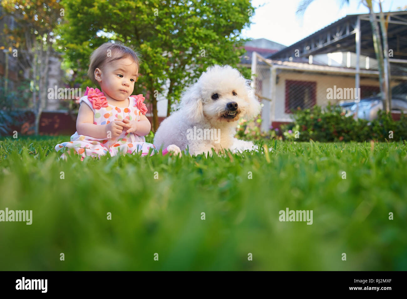 Little girl with her poodle hi-res stock photography and images - Alamy