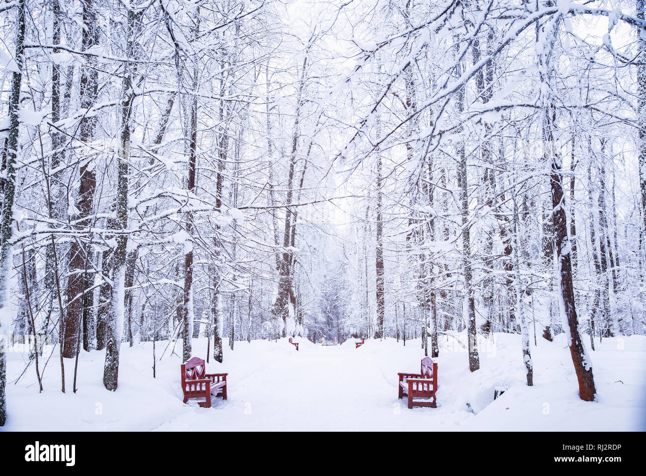 Winter scene frozen bench hi-res stock photography and images - Alamy