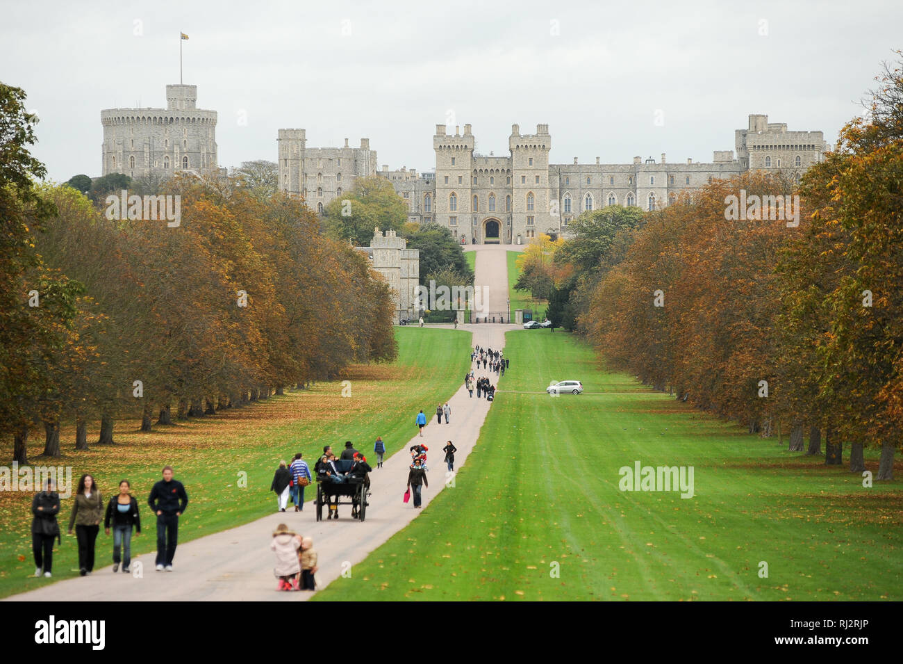 The long walk windsor autumn hi-res stock photography and images - Alamy