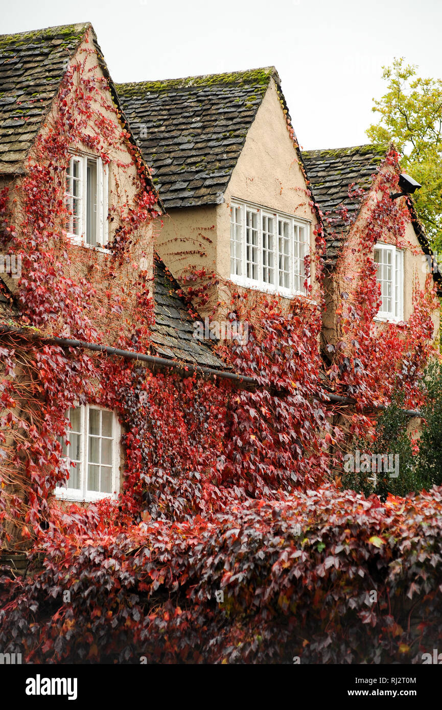 Trinity College, University of Oxford one of the oldest universities in ...