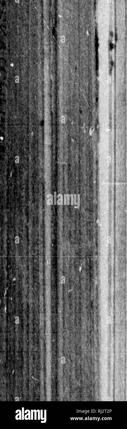 Two headed figure striking Black and White Stock Photos & Images - Alamy