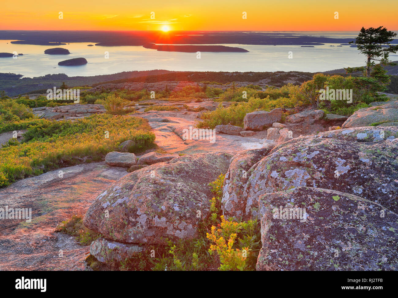 Sunrise, Cadillac Mountain, Acadia National Park, Maine, USA Stock ...