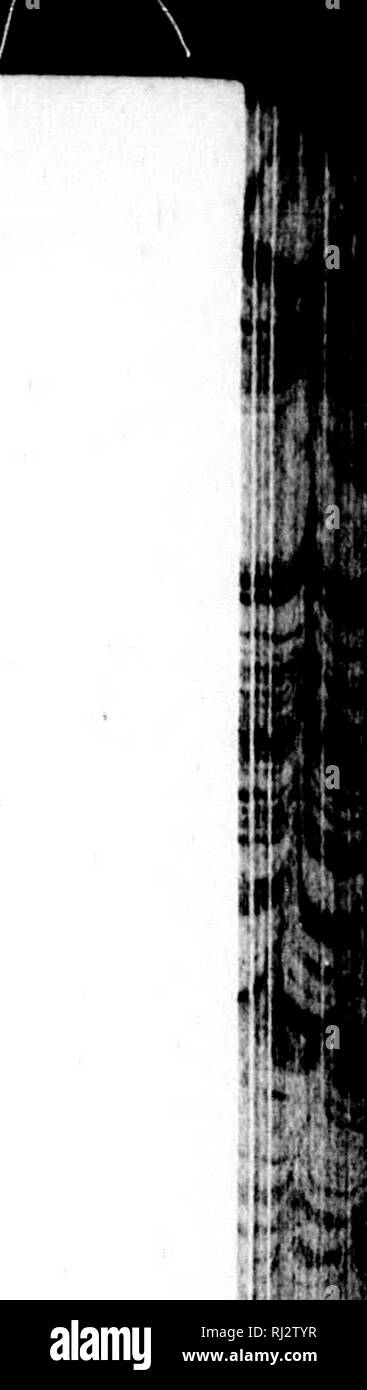 . Political essay on the kingdom of New Spain [microform] : containing ...