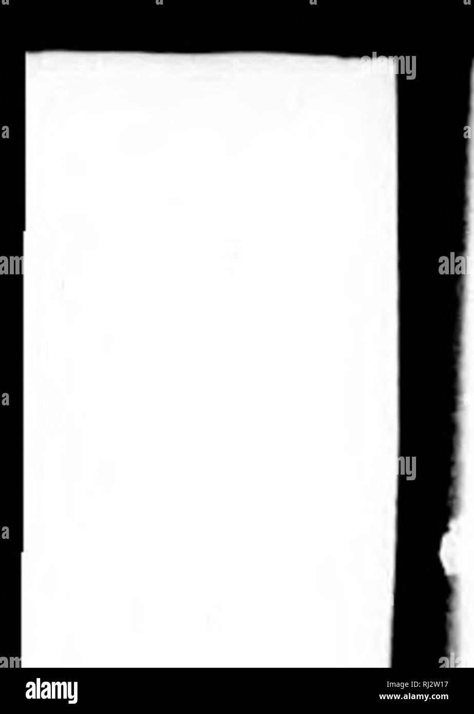 . Political essay on the kingdom of New Spain [microform] : containing ...