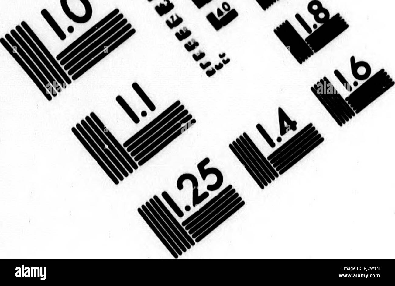 . Political essay on the kingdom of New Spain [microform] : containing ...