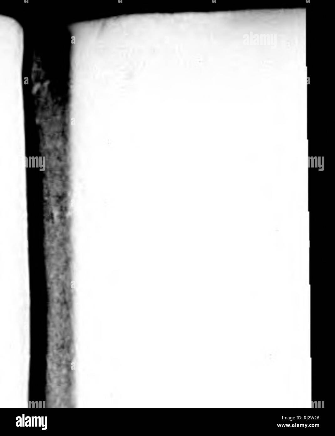 . Political essay on the kingdom of New Spain [microform] : containing ...