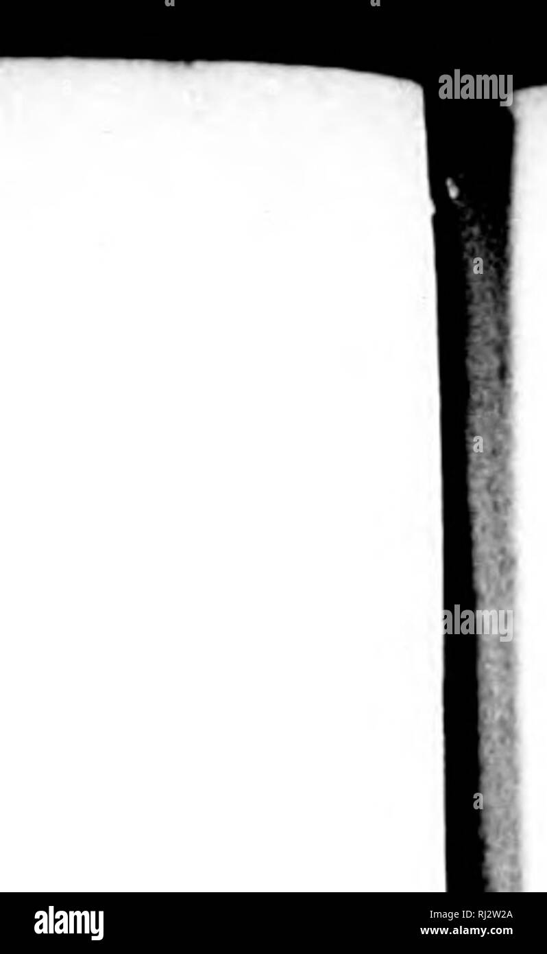 . Political essay on the kingdom of New Spain [microform] : containing ...