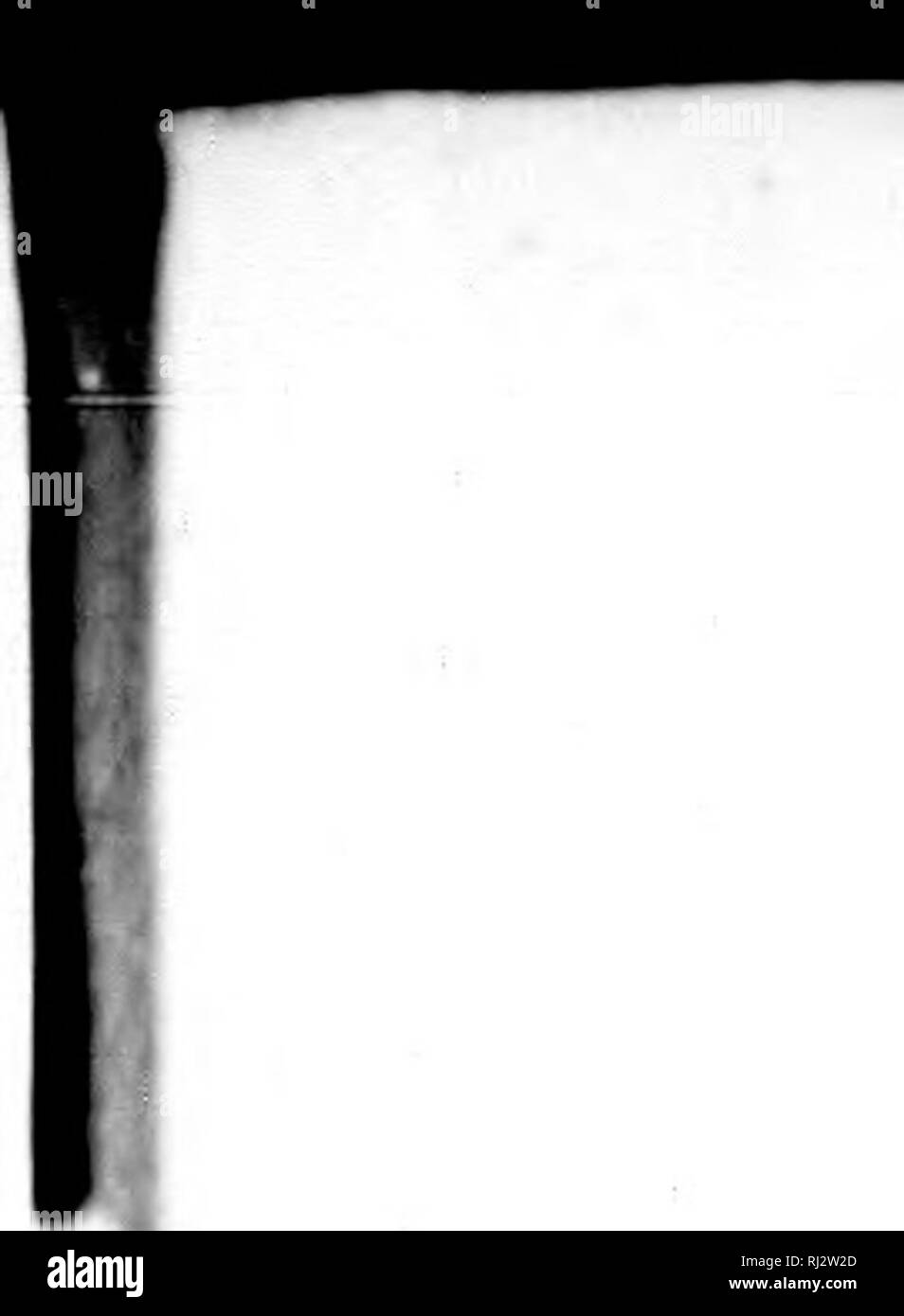 . Political essay on the kingdom of New Spain [microform] : containing ...