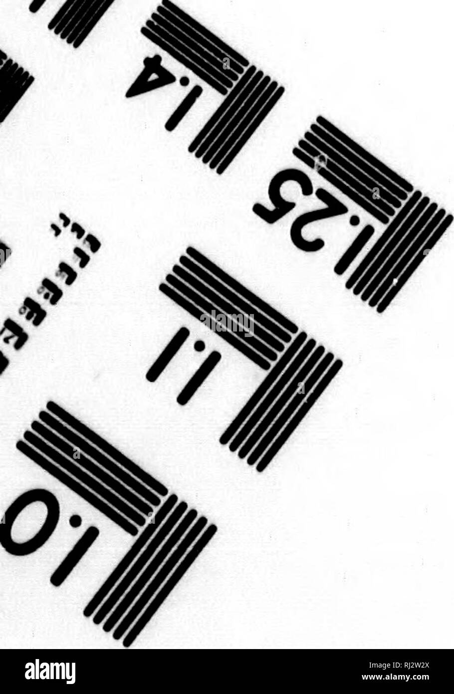 . Political essay on the kingdom of New Spain [microform] : containing ...