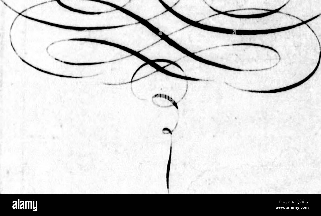 . Political essay on the kingdom of New Spain [microform] : containing ...