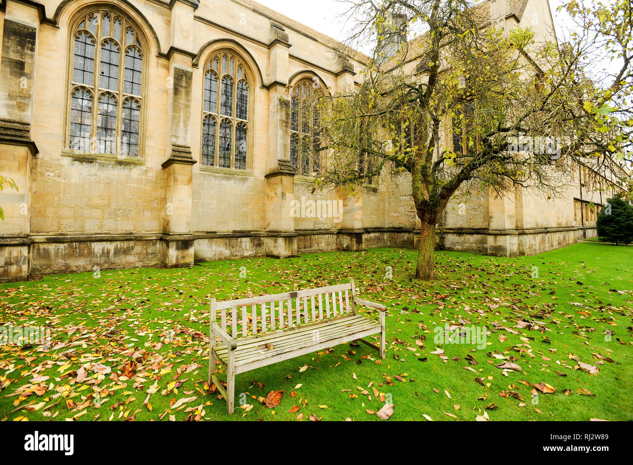 The Chapel of Wadham College, University of Oxford one of the oldest ...
